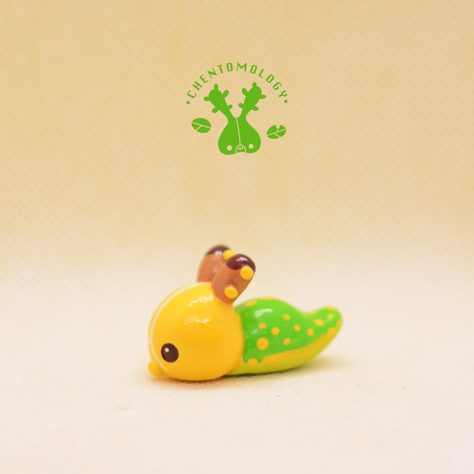 Chentomology art – Chentomology Art