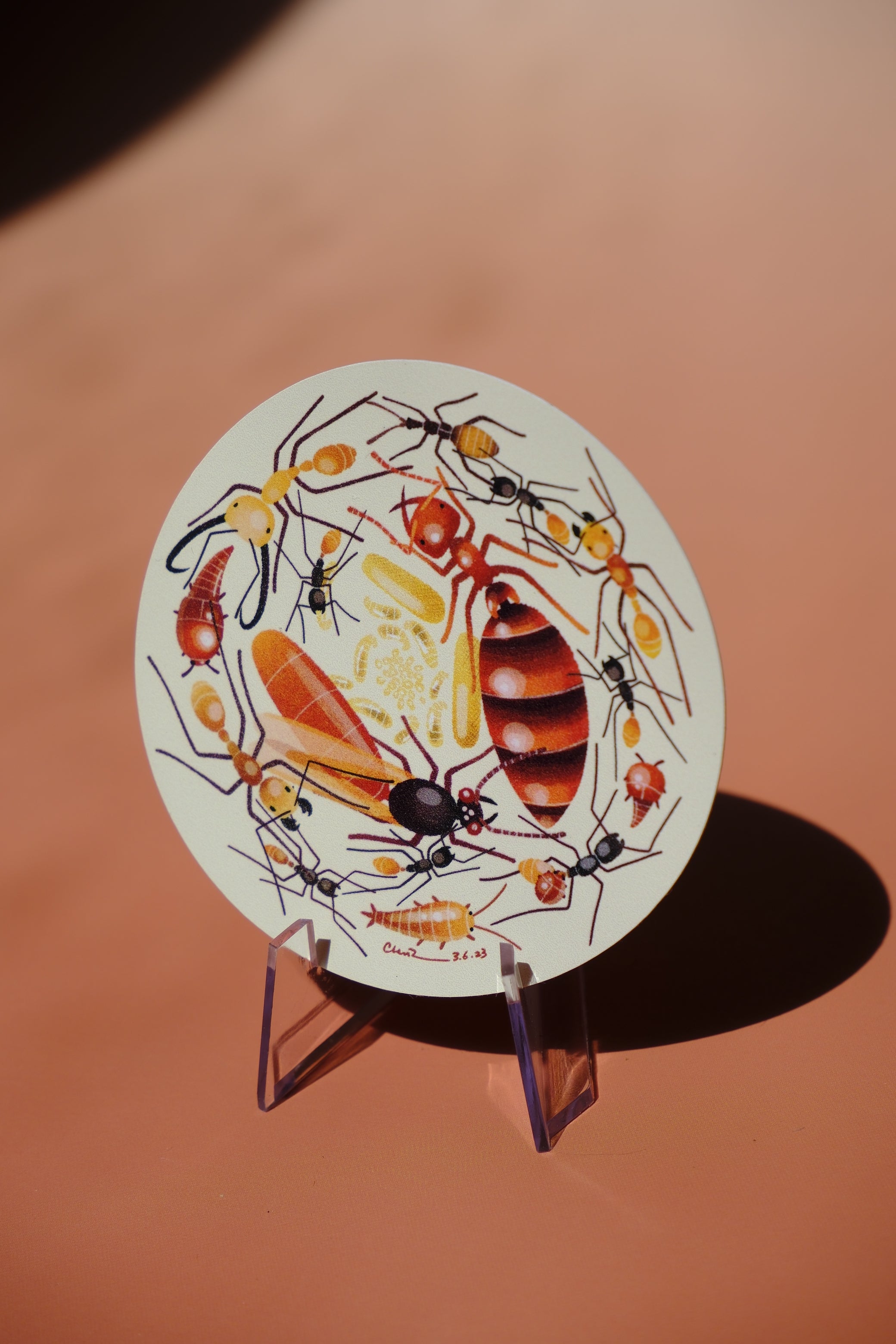 Army ants waterproof sticker – Chentomology Art