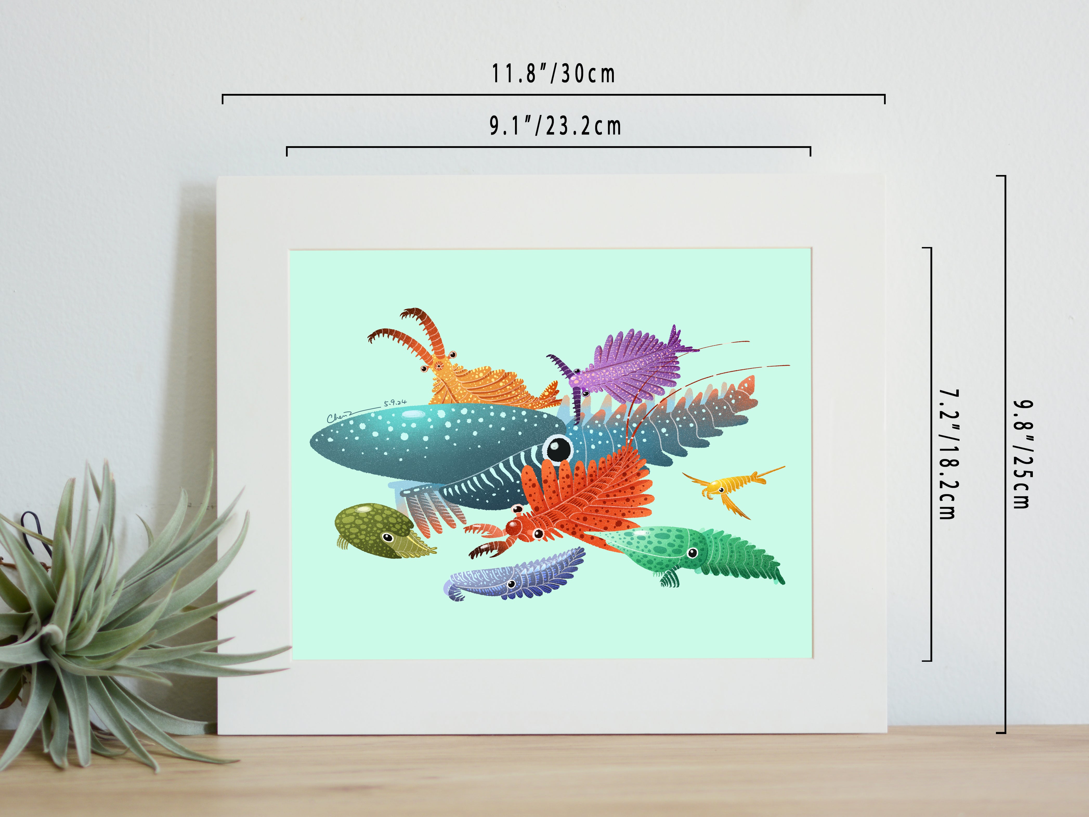 Radiodonta print – Chentomology Art