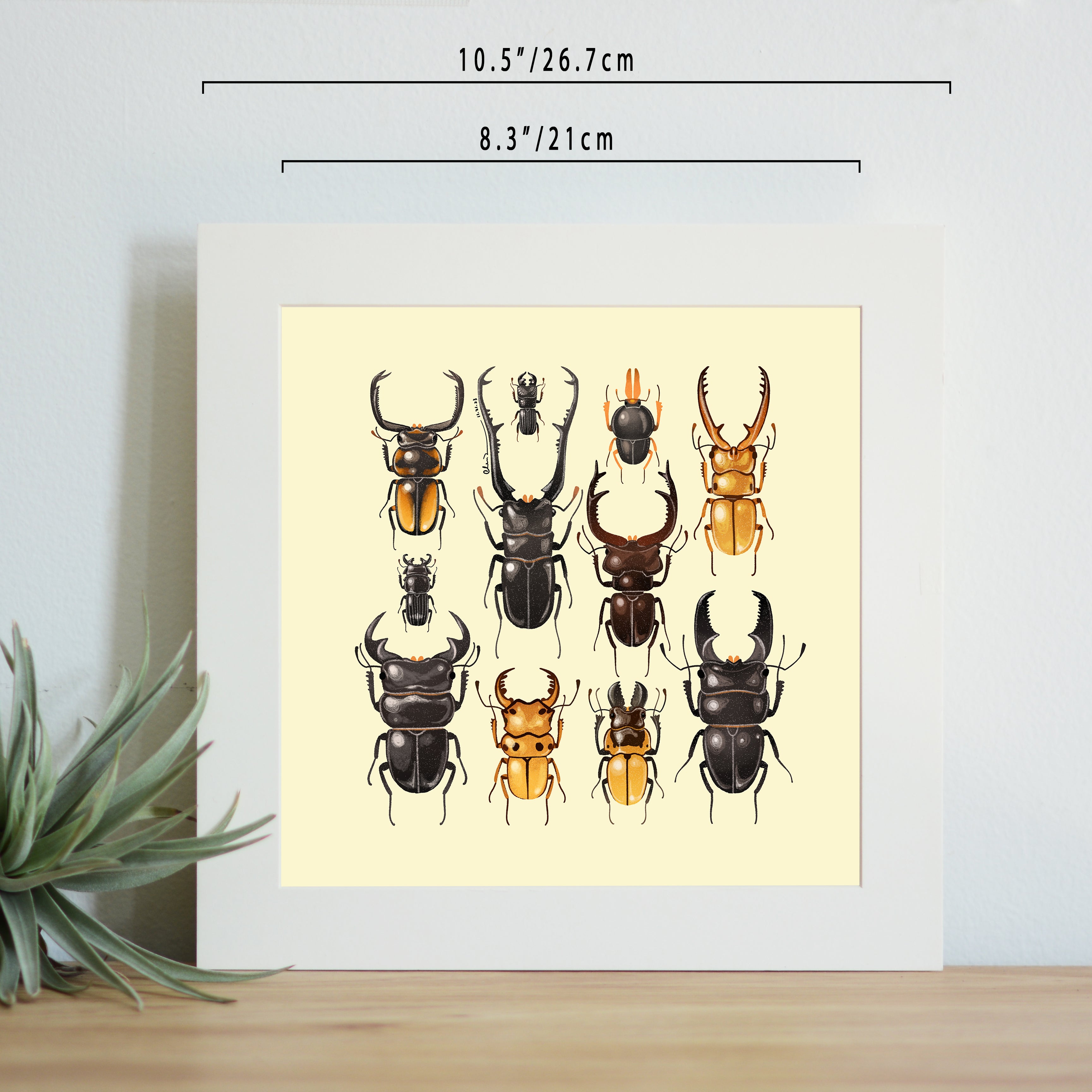 Stag beetles print – Chentomology Art