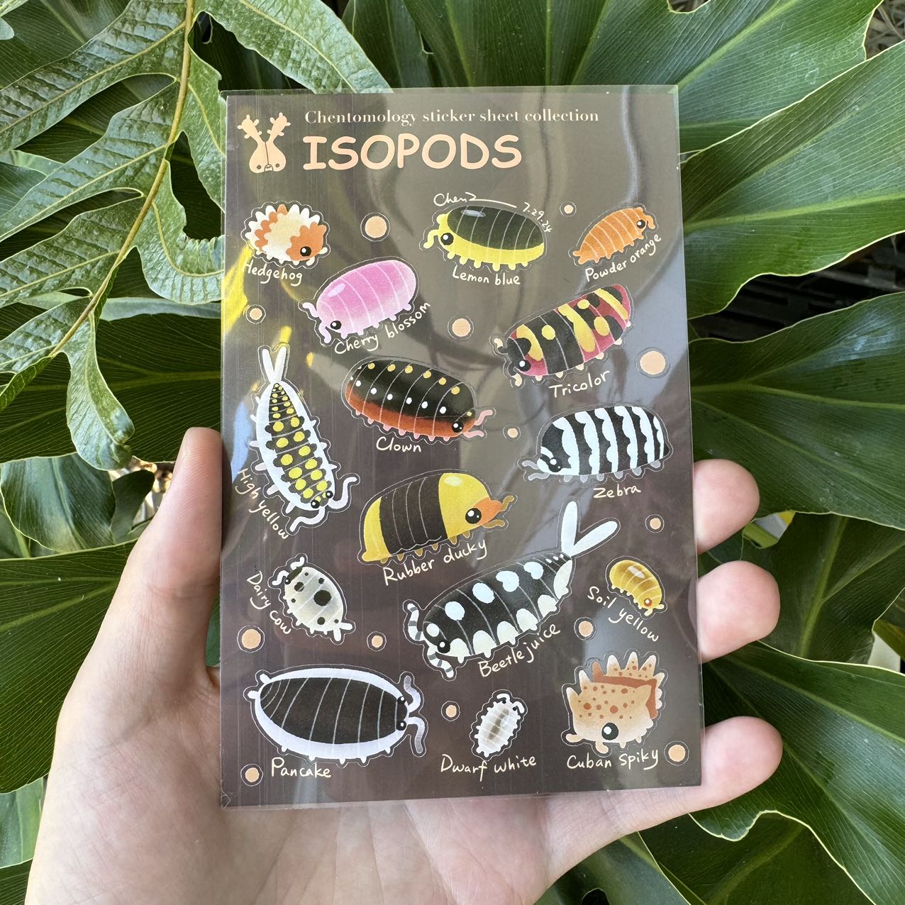 Transparent sticker sheet - Isopods – Chentomology Art