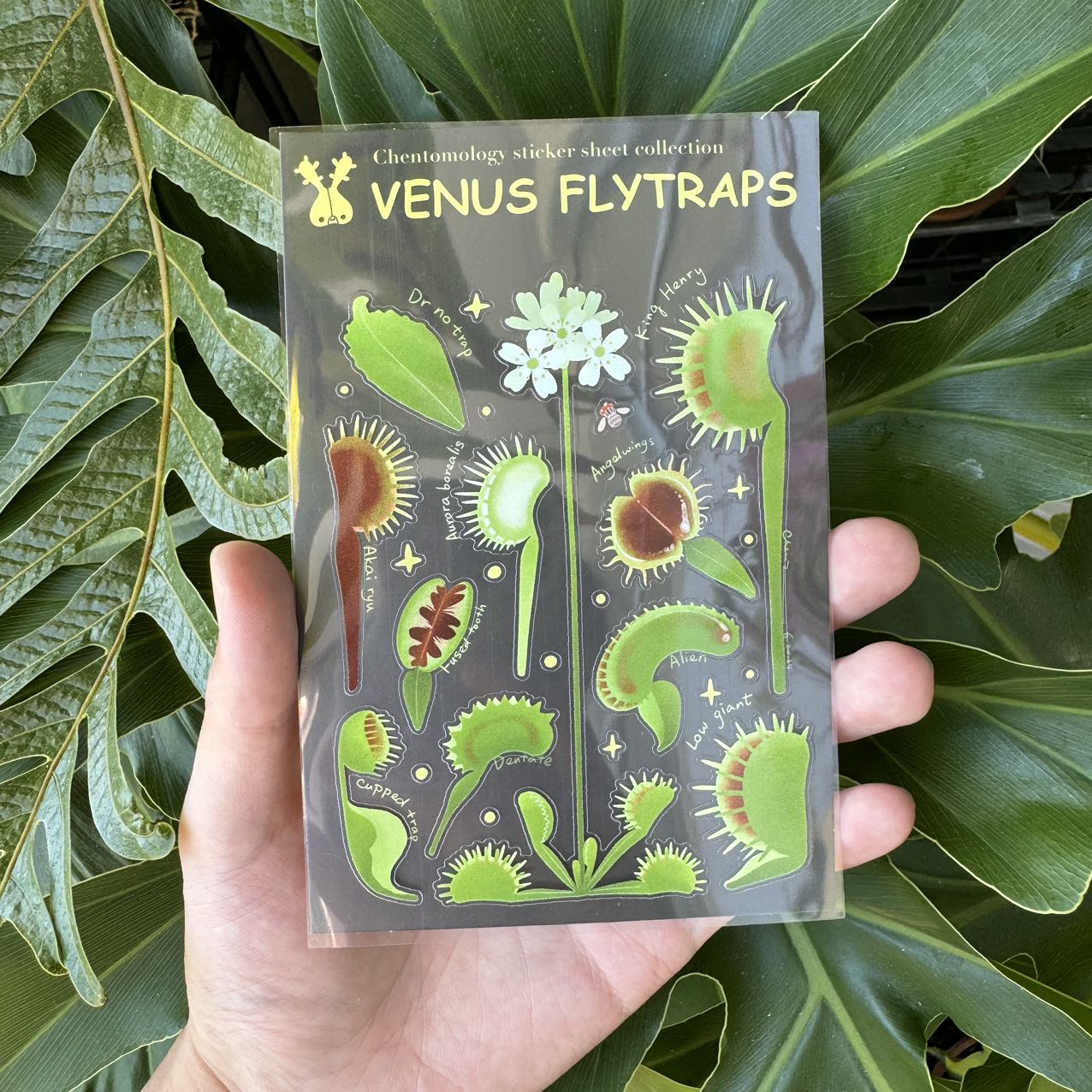 Transparent sticker sheet - Venus flytraps – Chentomology Art
