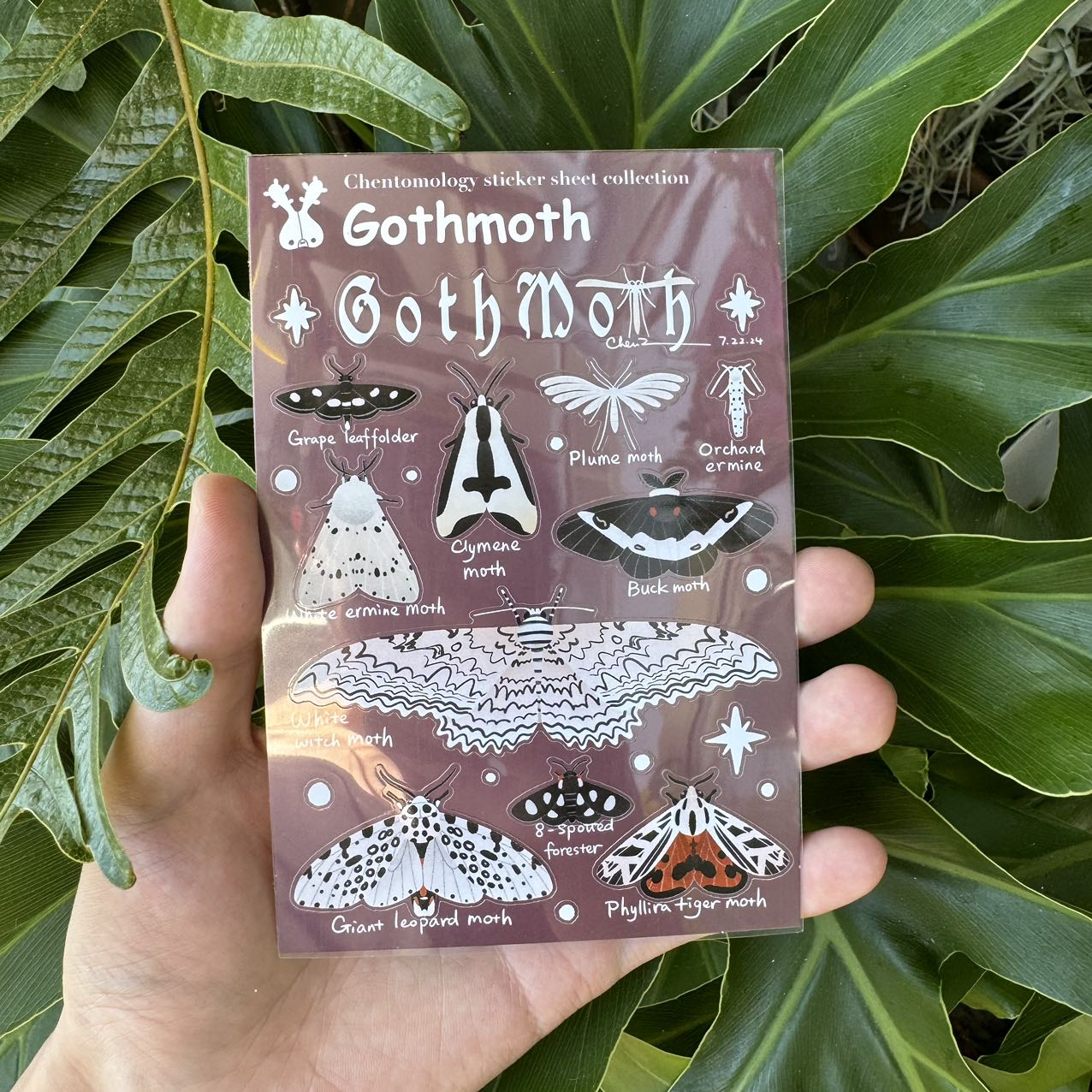 Transparent sticker sheet - Goth moth – Chentomology Art