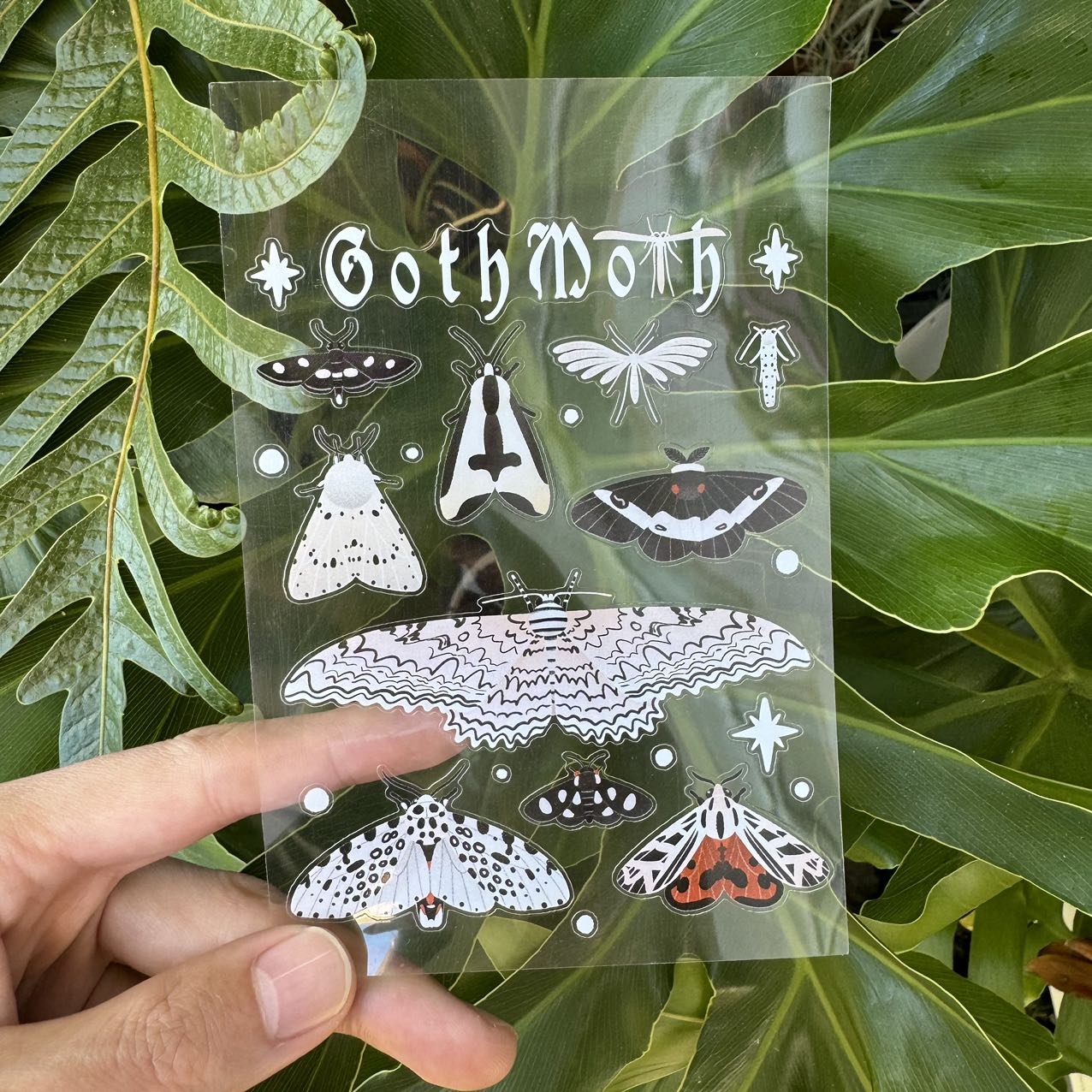 Transparent sticker sheet - Goth moth – Chentomology Art
