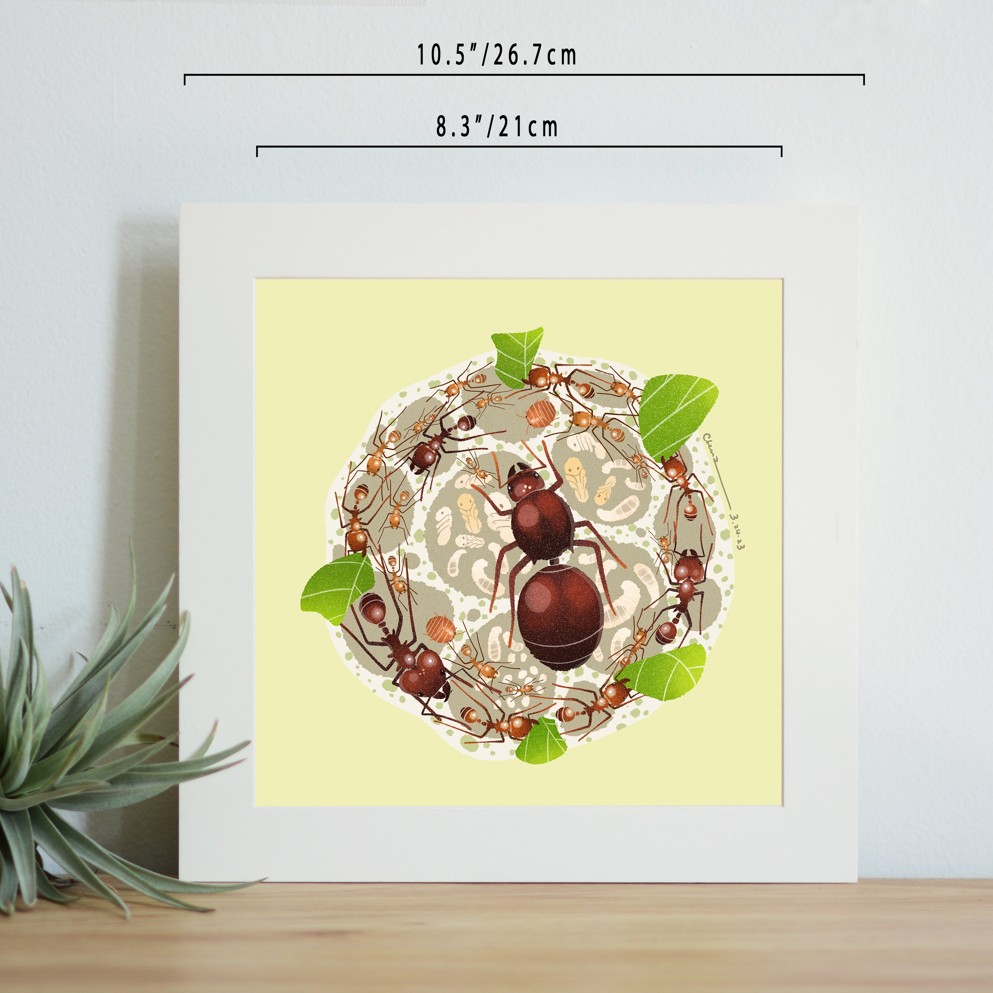 Leaf cutter ant print – Chentomology Art