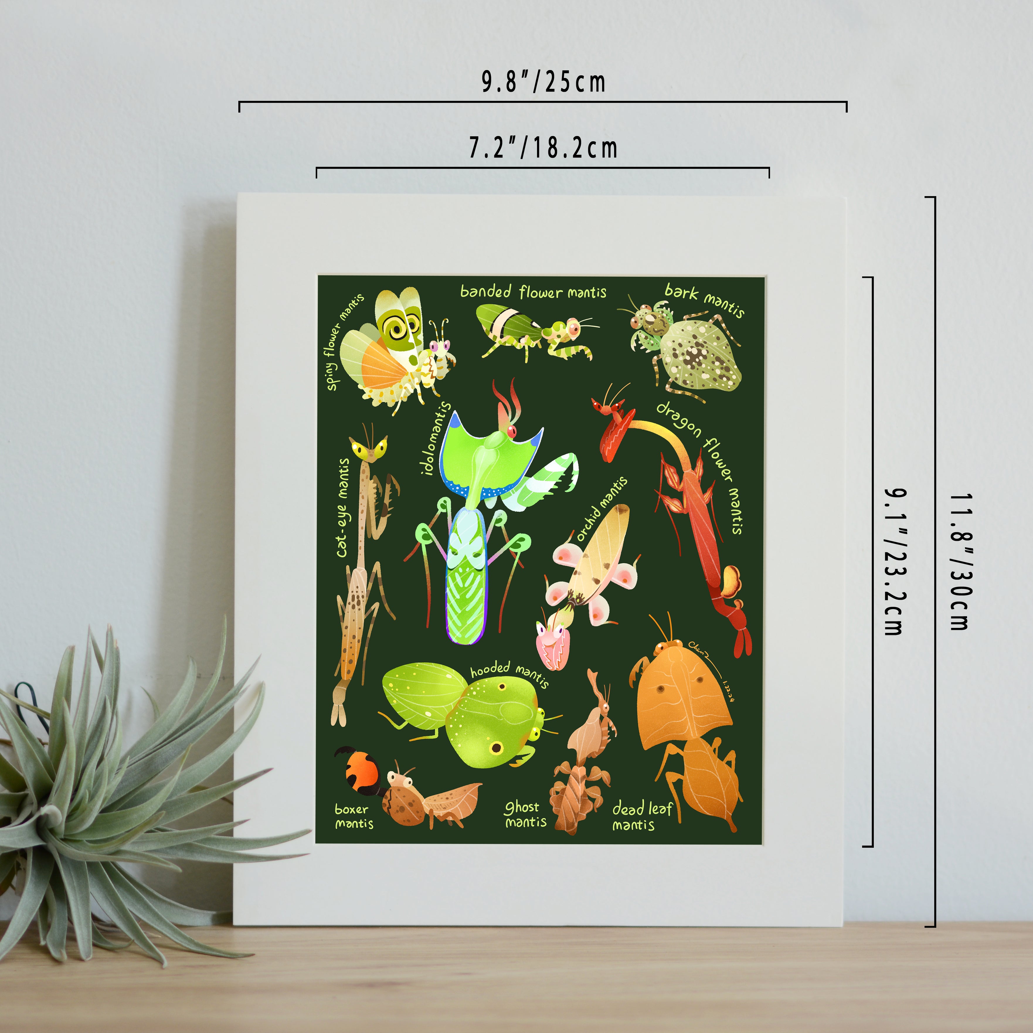 Praying mantis print – Chentomology Art