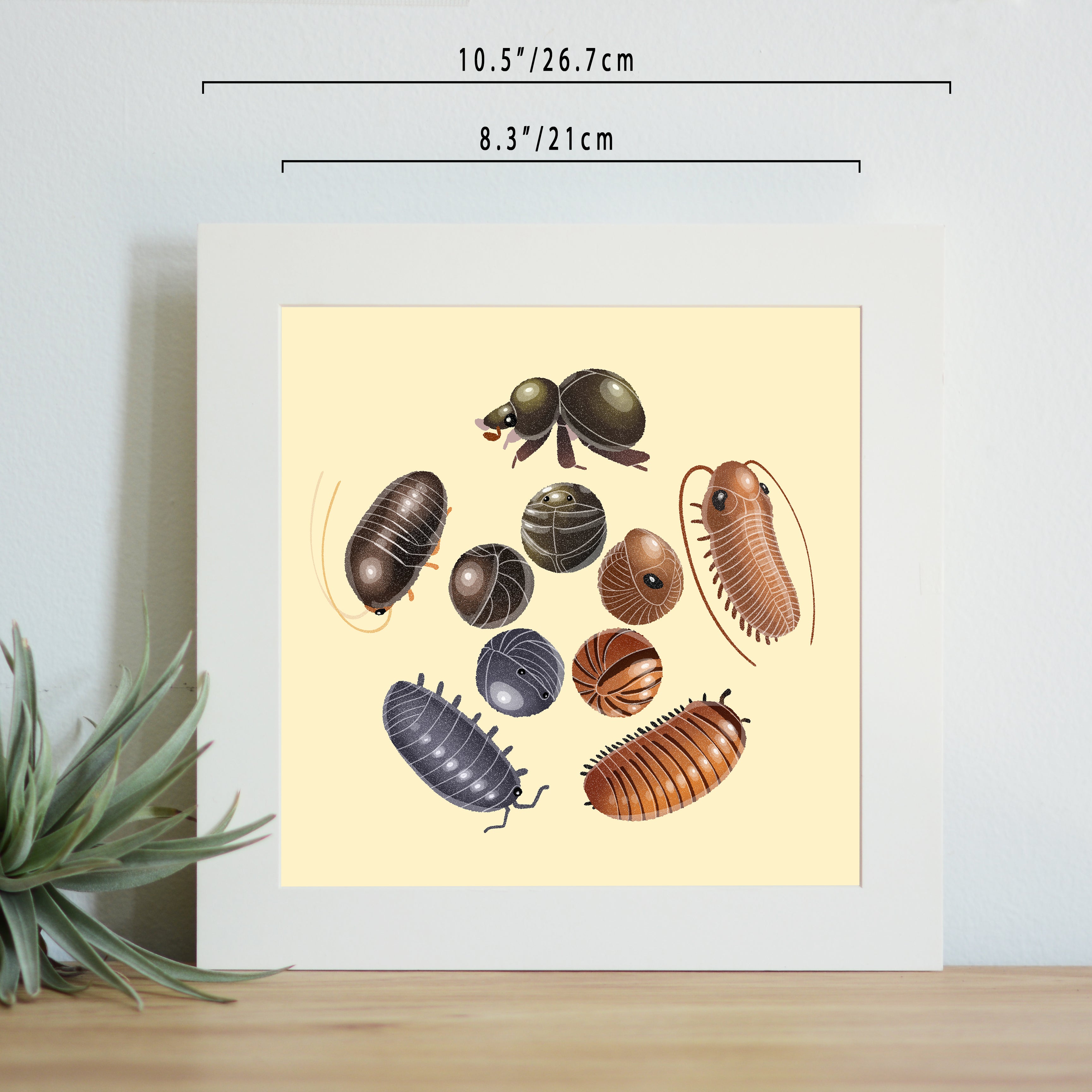 Team roly poly print – Chentomology Art